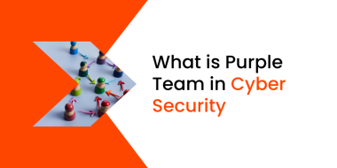 What is the Purple Team in Cyber Security? | Institute of Data
