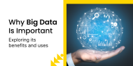 Why Big Data is Important: Exploring Its Benefits and Uses | Institute ...