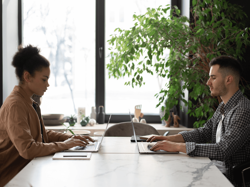 Comparing Software Architects and Software Engineers | Institute of Data