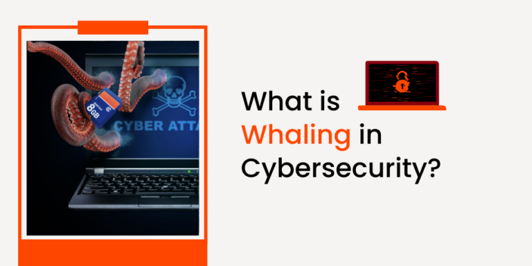 Understanding Whaling in Cybersecurity | Institute of Data