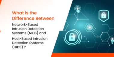 What is the Difference Between Network-Based Intrusion Detection ...