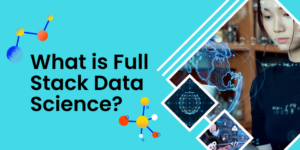 What is Full Stack Data Science? | Institute of Data