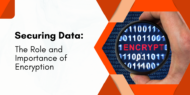 Securing Data: The Role and Importance of Encryption in Cyber Security ...